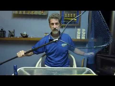 Prawning - When is it best to go prawning on the South Coast NSW?